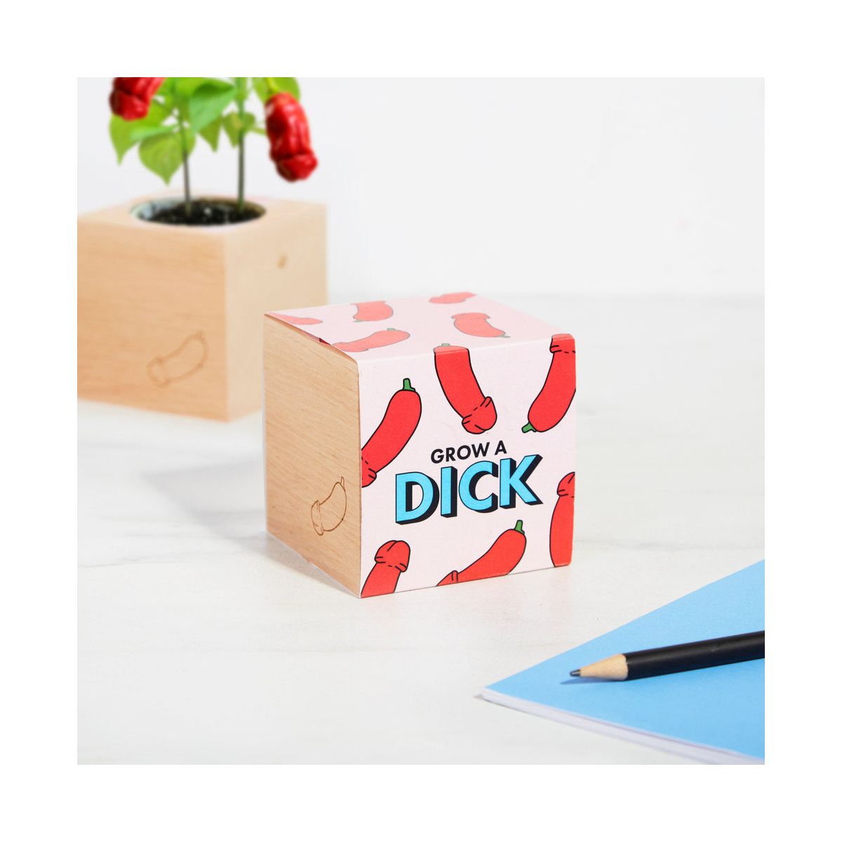 Ecocube - Peperoncino a forma di Pene in Cubo di Legno | Troppotogo